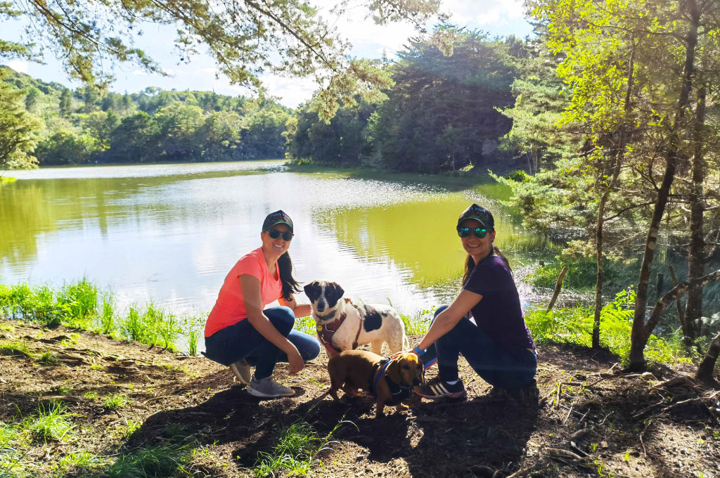 Alamo Costa Rica | Disfruta de los mejores viajes de un día