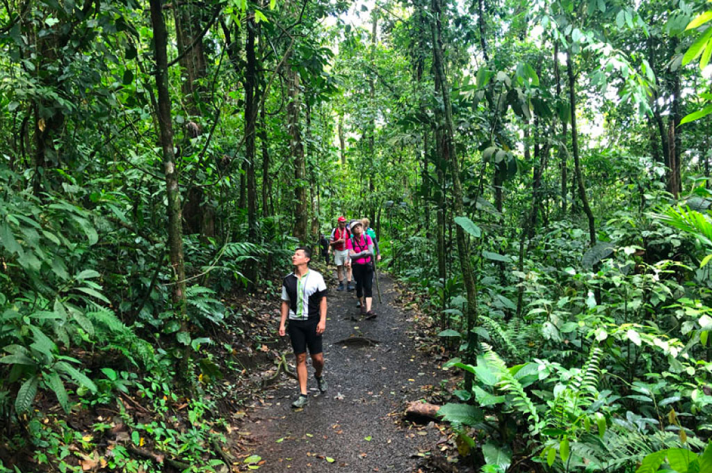 Alamo Costa Rica | Prepárate adecuadamente para realizar senderismo