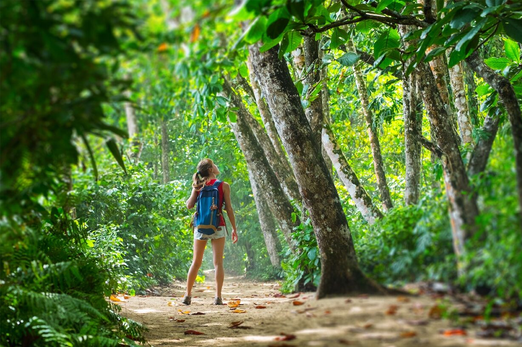 Alamo Costa Rica | Explora las maravillas de Costa Rica con la ...