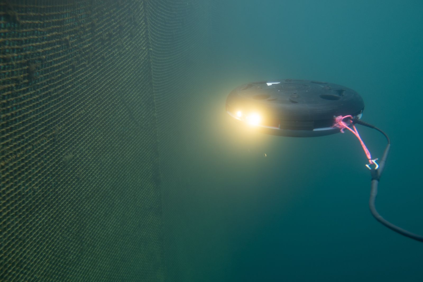 Probotic - Autonomous Underwater Drones. Inspecting and Cleaning fish farms