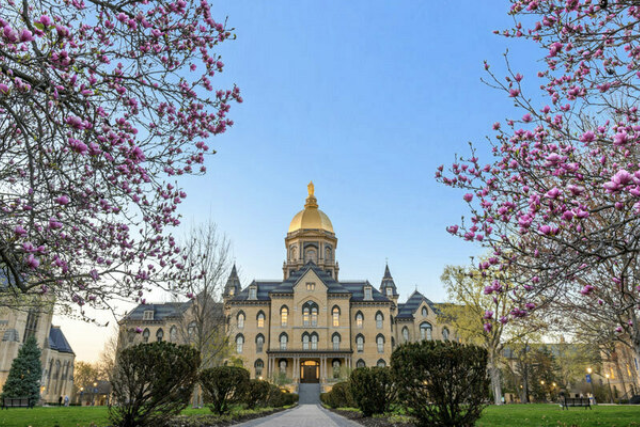 Colleges That Don’t Require SAT or ACT Scores - 2024 List