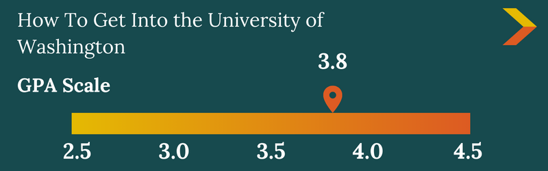 How to Get Into the University of Washington