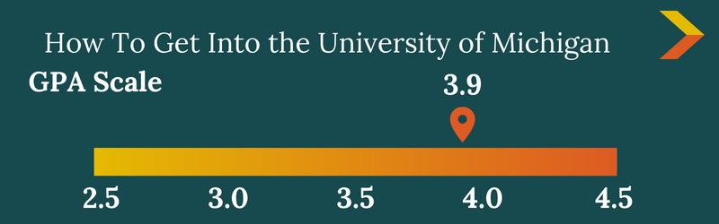 How to Get Into the University of Michigan - 2024 Guide