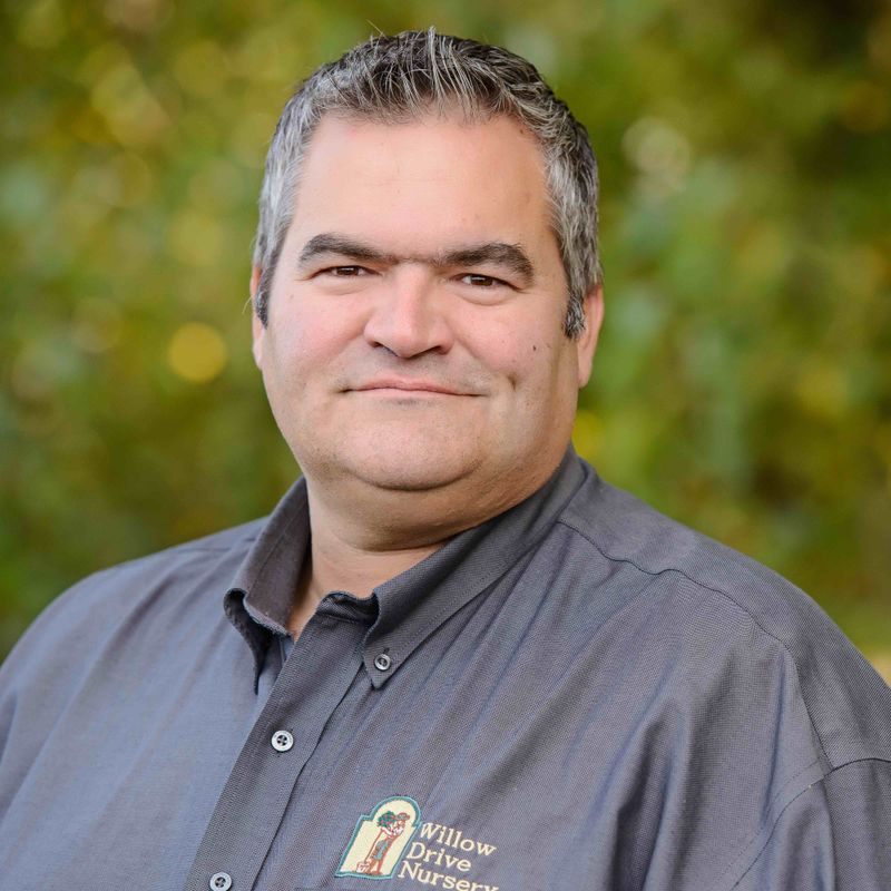 About | Willow Drive