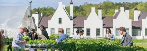 Serenbe | Living in Serenbe