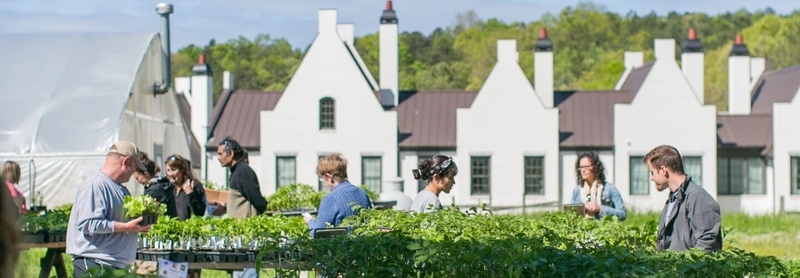 Serenbe | Living in Serenbe