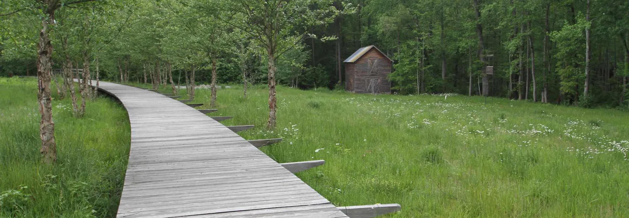 Serenbe | About