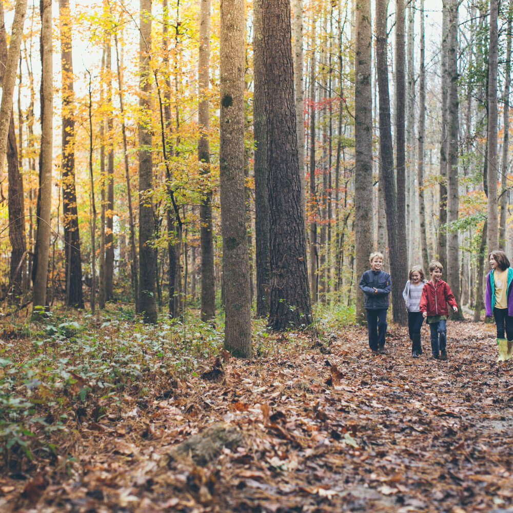 Life at Serenbe | Prescribing Nature