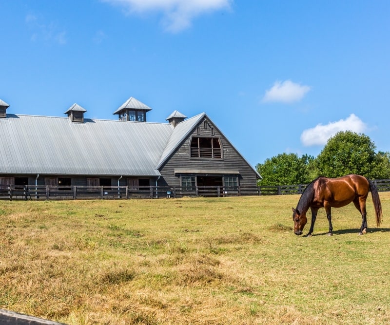 Serenbe | Community Amenities