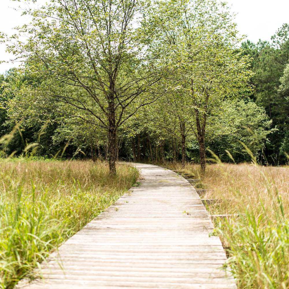 Life at Serenbe | The Most Photographed Spot In Serenbe