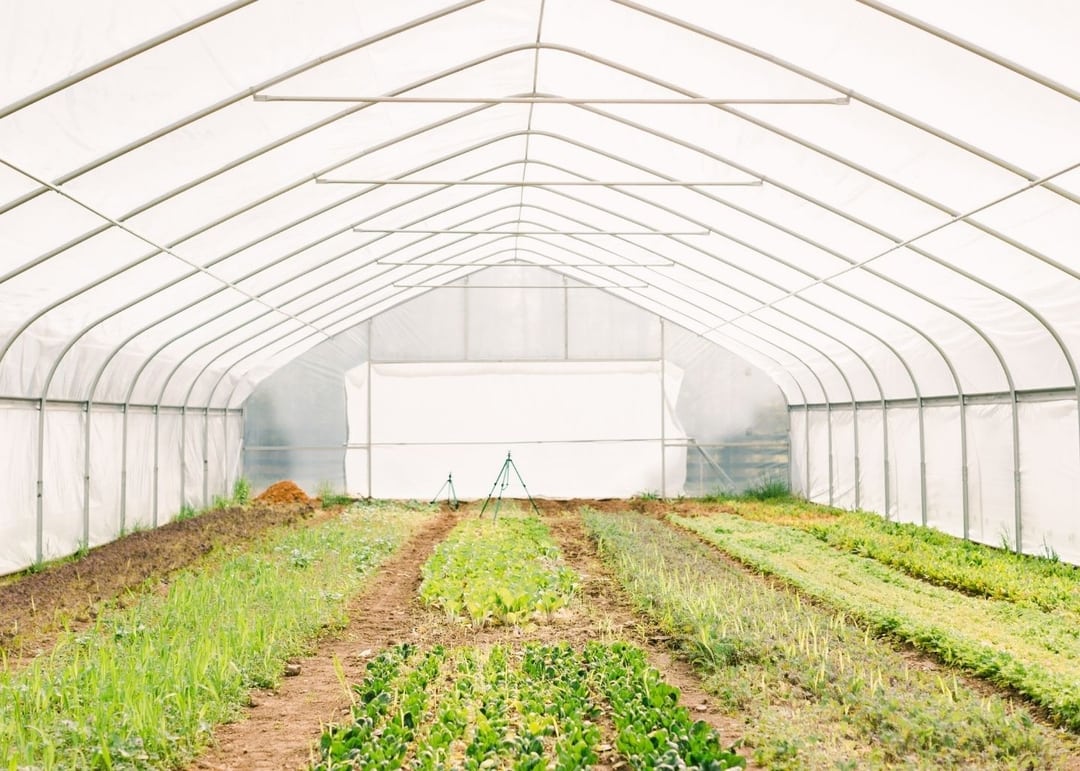 Serenbe Businesses | Serenbe Farms