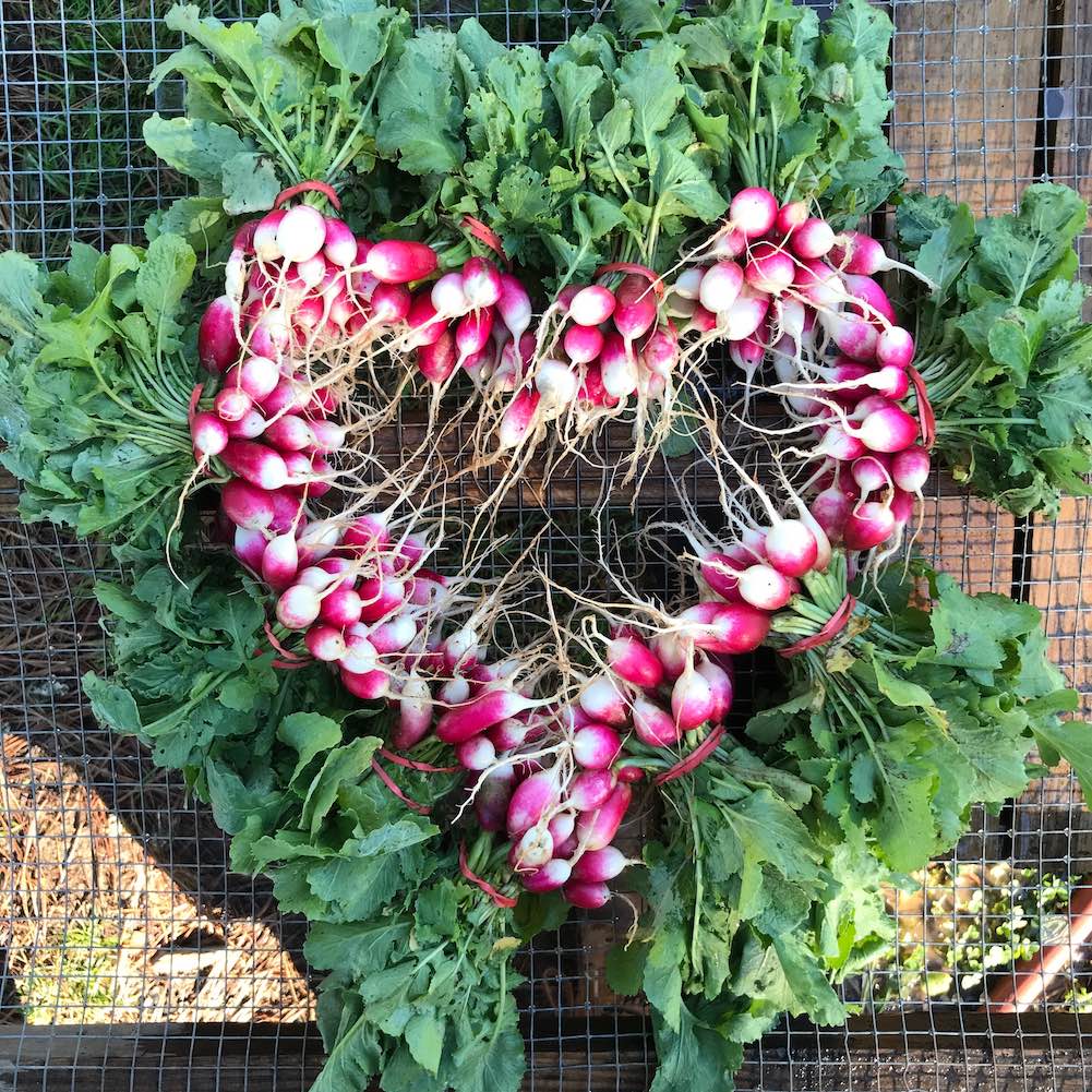 Life at Serenbe | Serenbe Farms and The Ravishing Radish