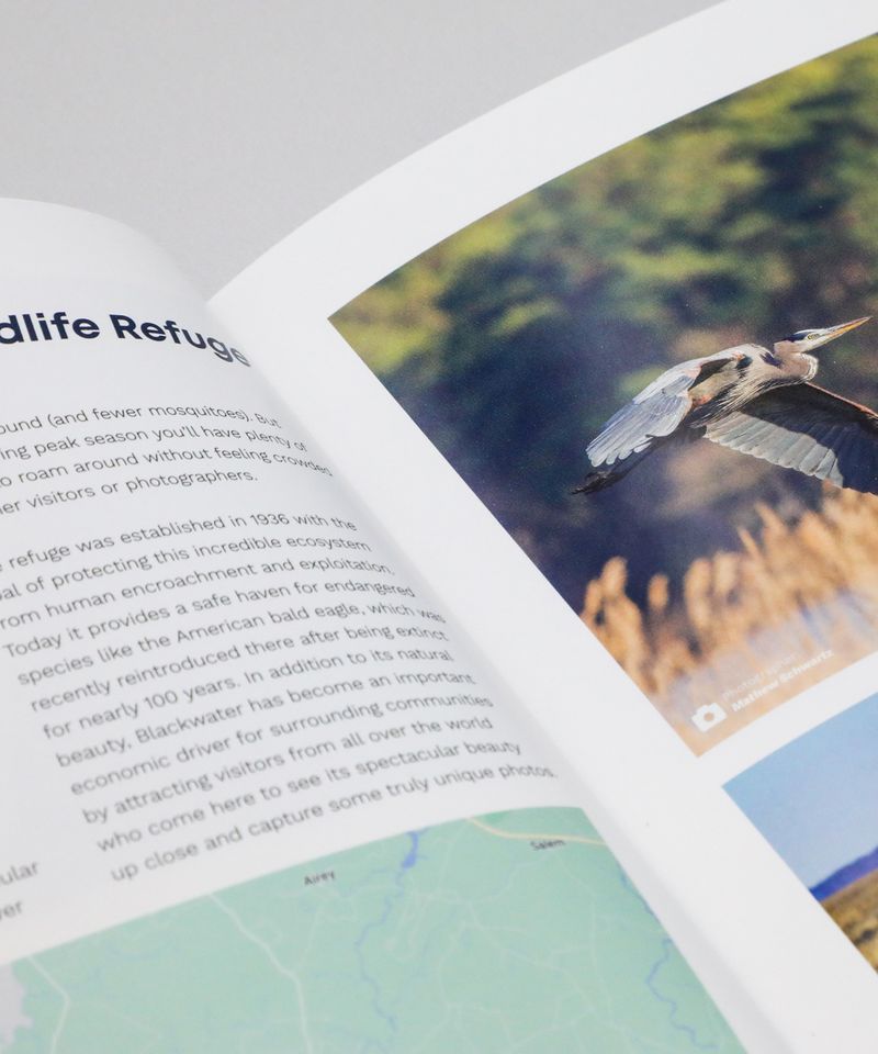 Perfect Bound Book Printing, Custom Perfect Bound Booklets | instantprint