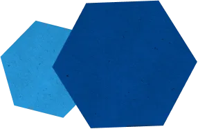 Transformational Leadership Framework™ | New Leaders