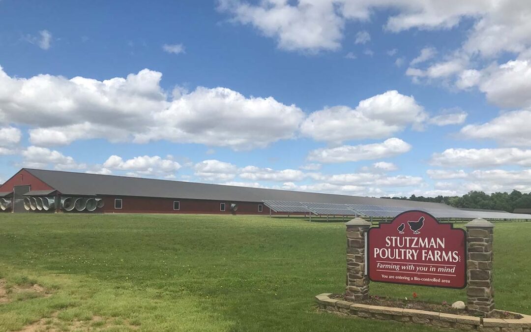 Michigan Allied Poultry Industries