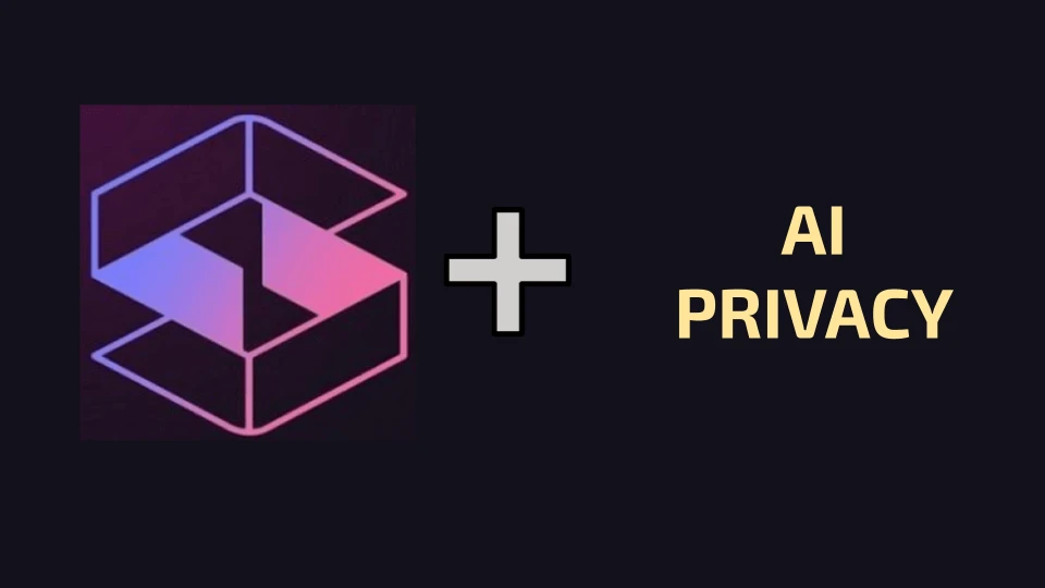 AI Privacy