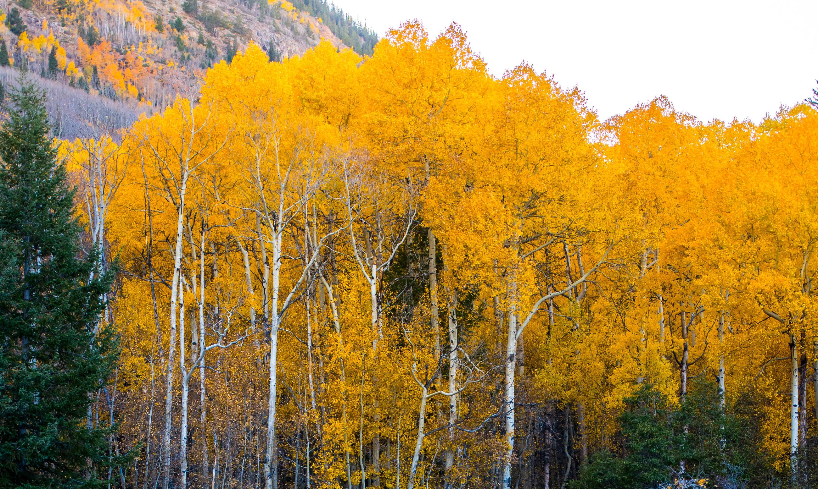 SEL Activity Library | Wayfinder