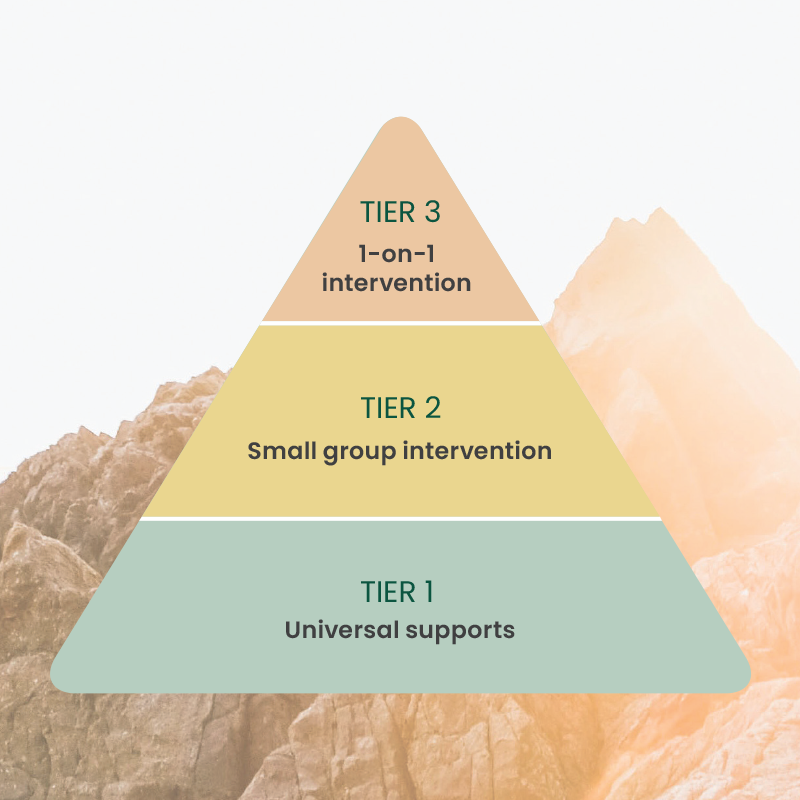 MTSS + Counselor Offerings | Wayfinder