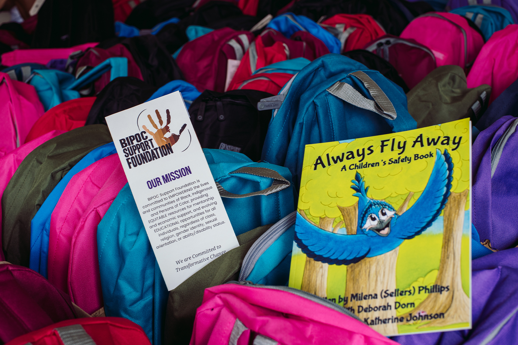 Programs | BIPOC Support Foundation