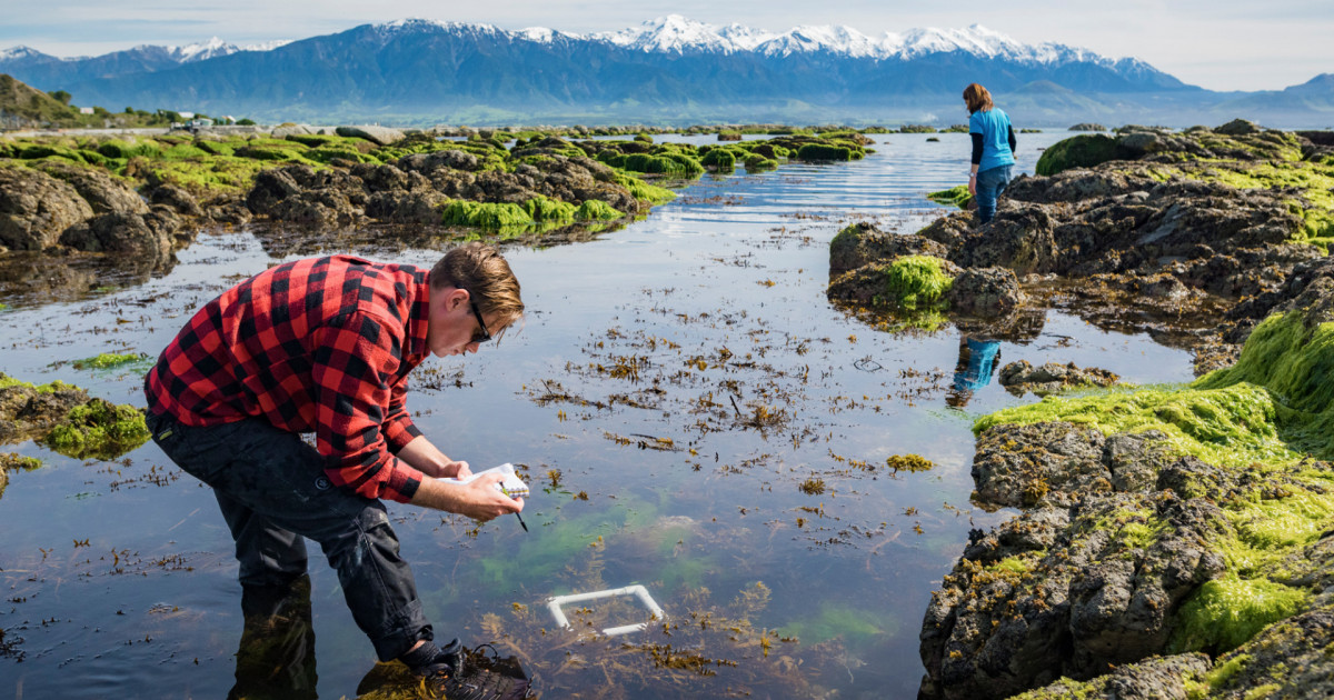 Sustainable Seas National Science Challenge | Resources by NZAEE