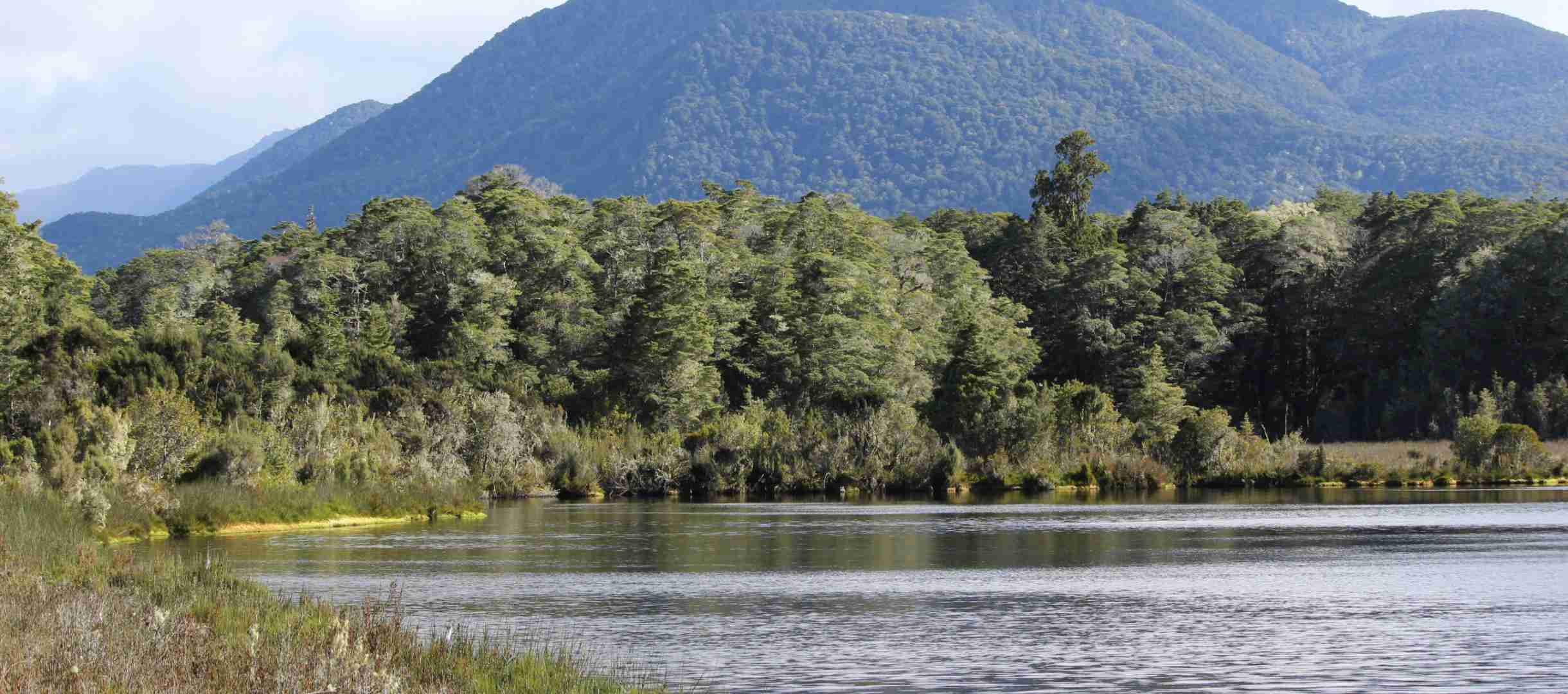 Collection: Indigenous Worldviews | NZAEE Collections | Read more