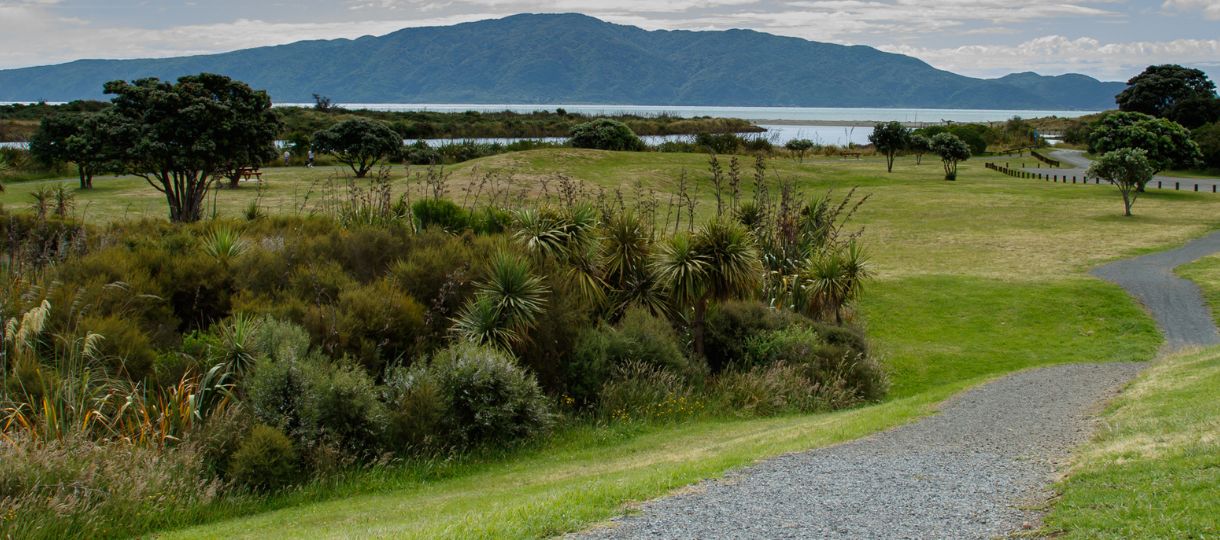 Ngā Manu Nature Reserve | Providers | NZAEE