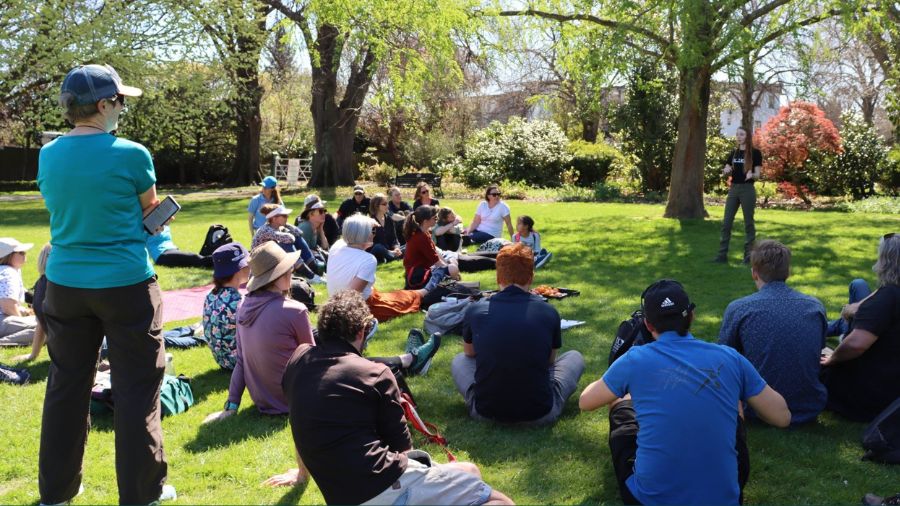 Stories of Effective Local Collaboration | NZAEE Collections | Read more