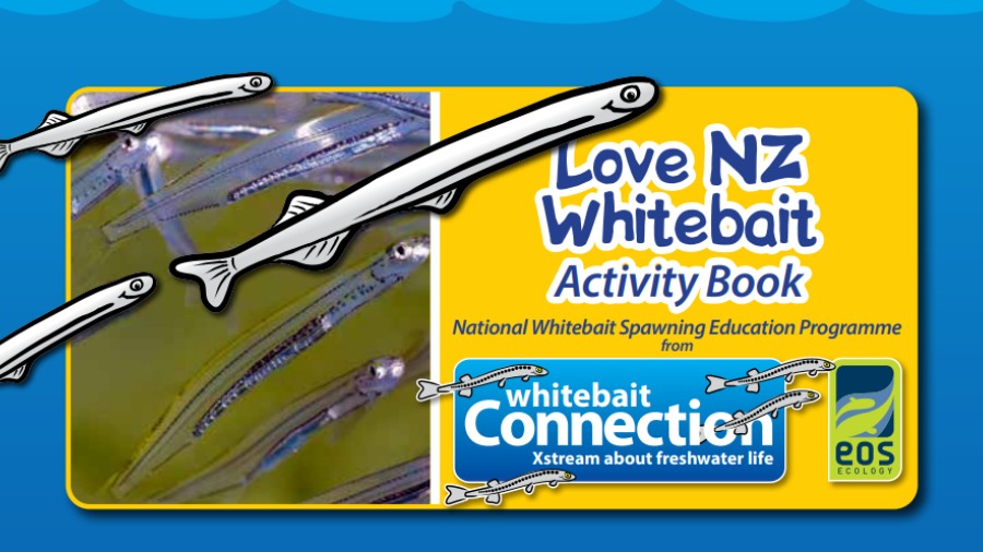 Love NZ Whitebait | Resources by NZAEE