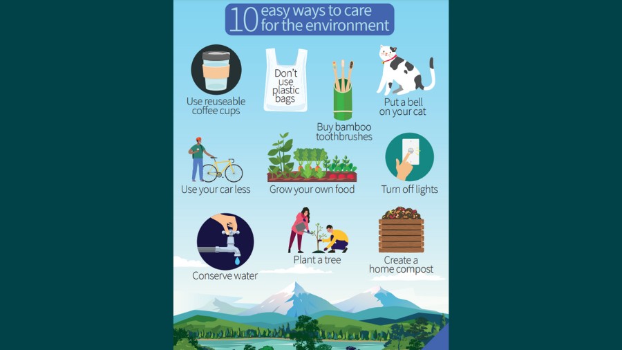 10 Easy Ways to Care for the Environment | Resources by NZAEE