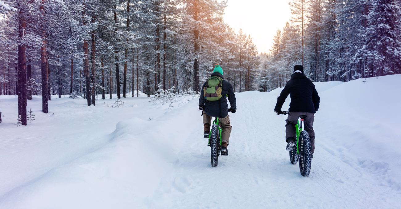 Best Bikes For Snow & Winter | PedalChef
