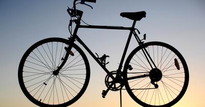 Schwinn Prelude Review | PedalChef