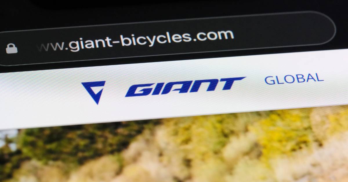 The Best Road Bicycle Brand for Every Zodiac Sign | PedalChef