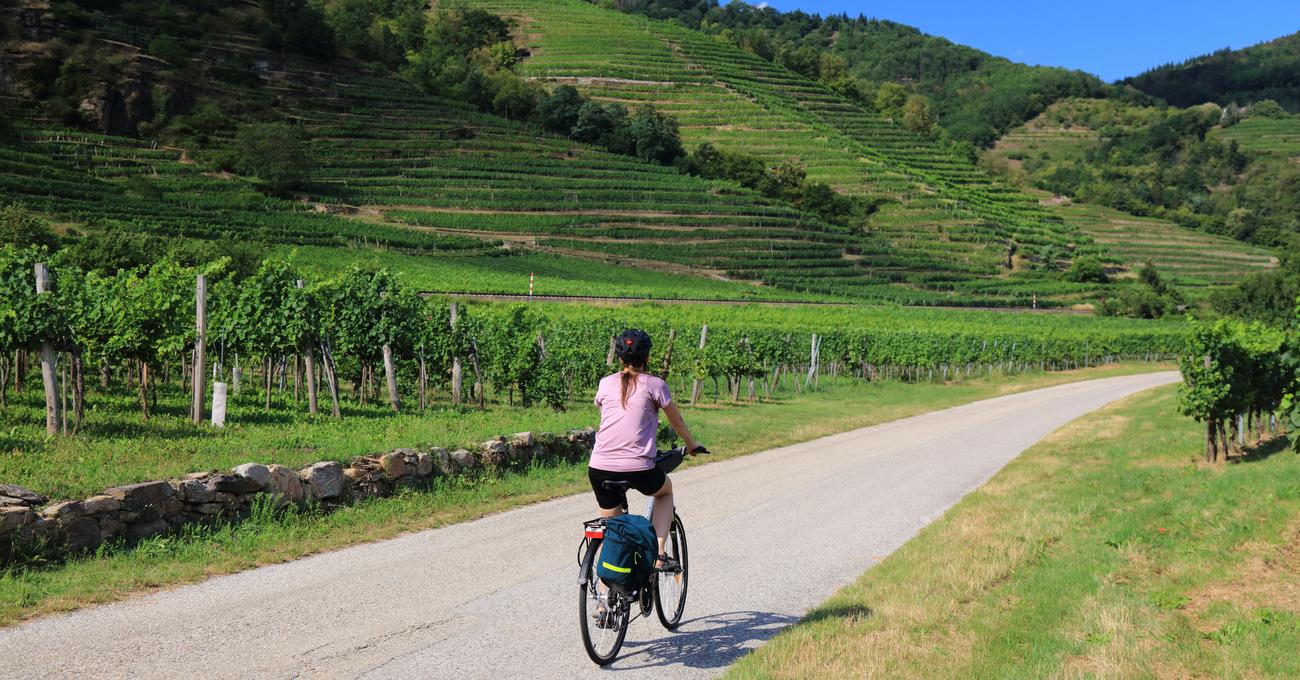 4 Signs You're Suited for Long-Distance Rides or Short Sprints