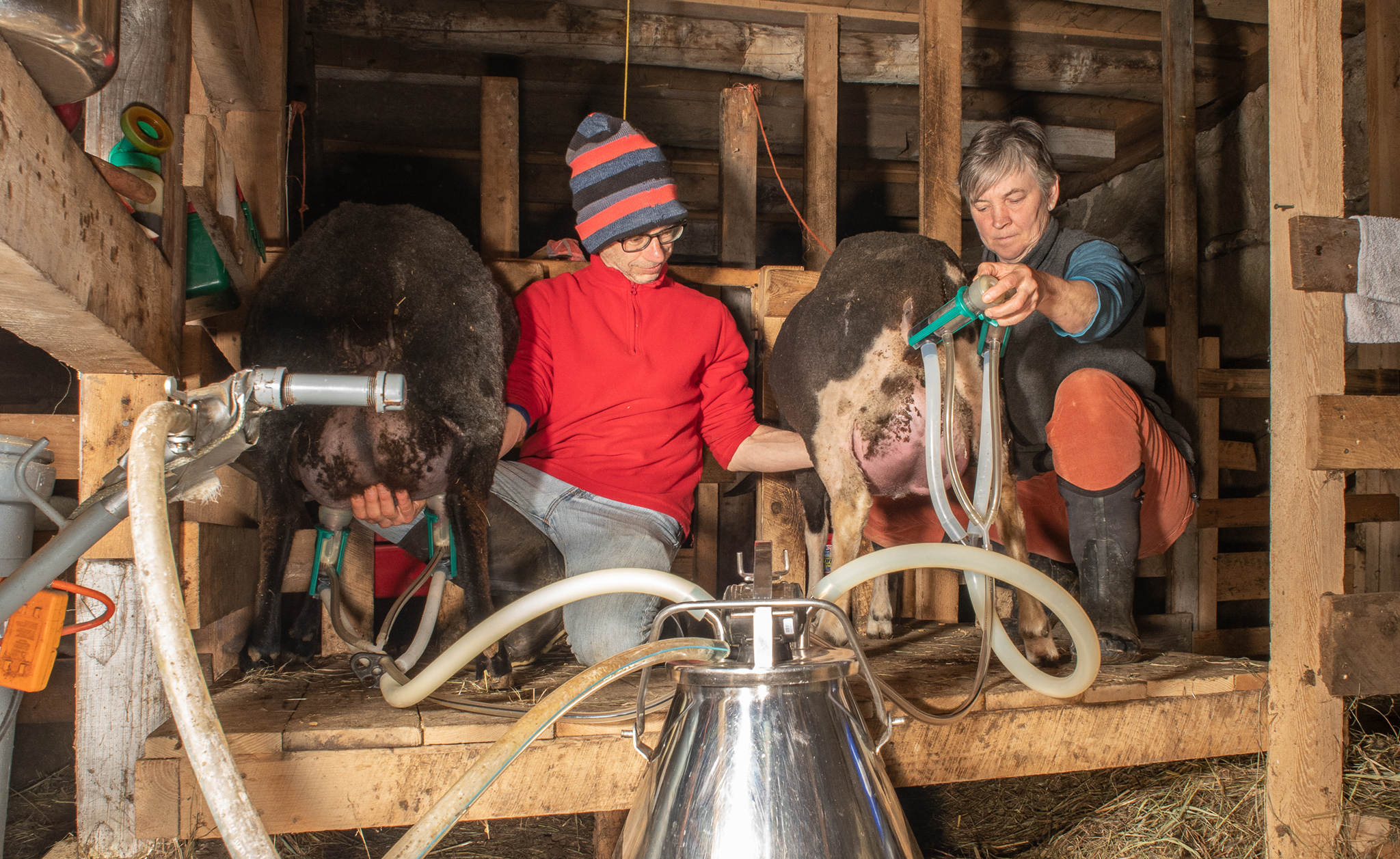 Julie Whitcomb and Matt Gelbwaks, Julie's Happy Hens | Walden Mutual Bank