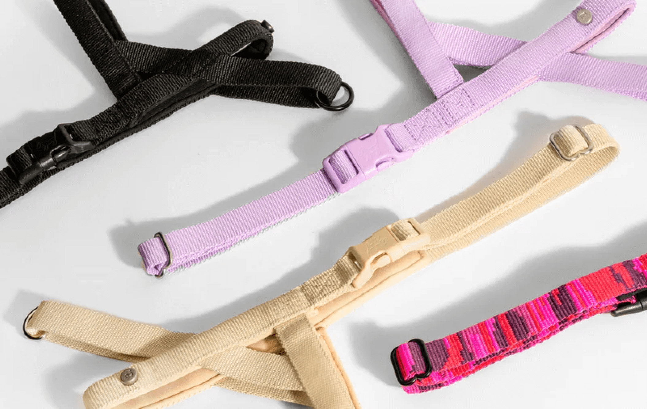 Customer Story: Johan from Barkalot | Storetasker Blog