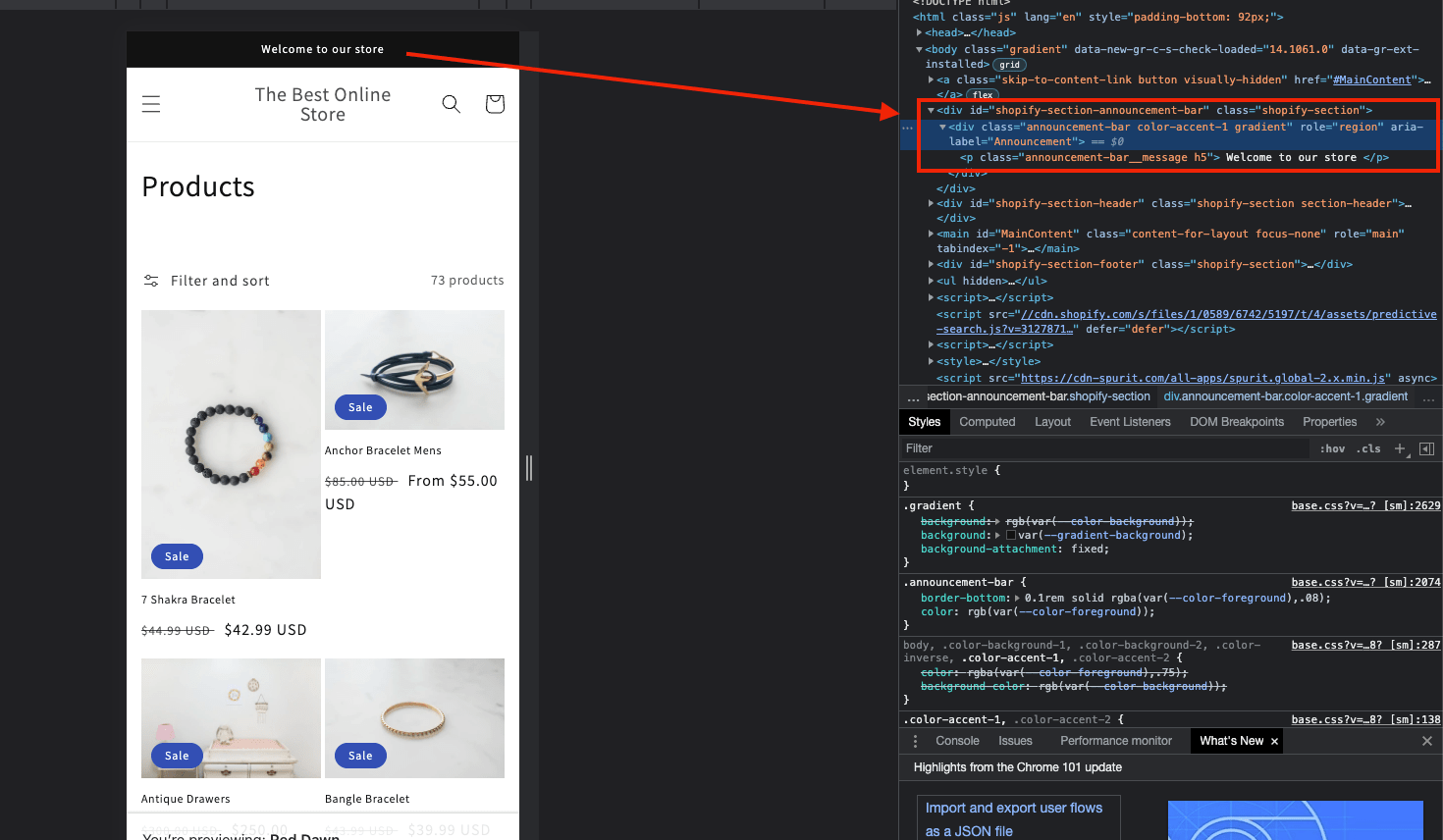 How to Edit The CSS Of A Shopify Theme | Storetasker Blog