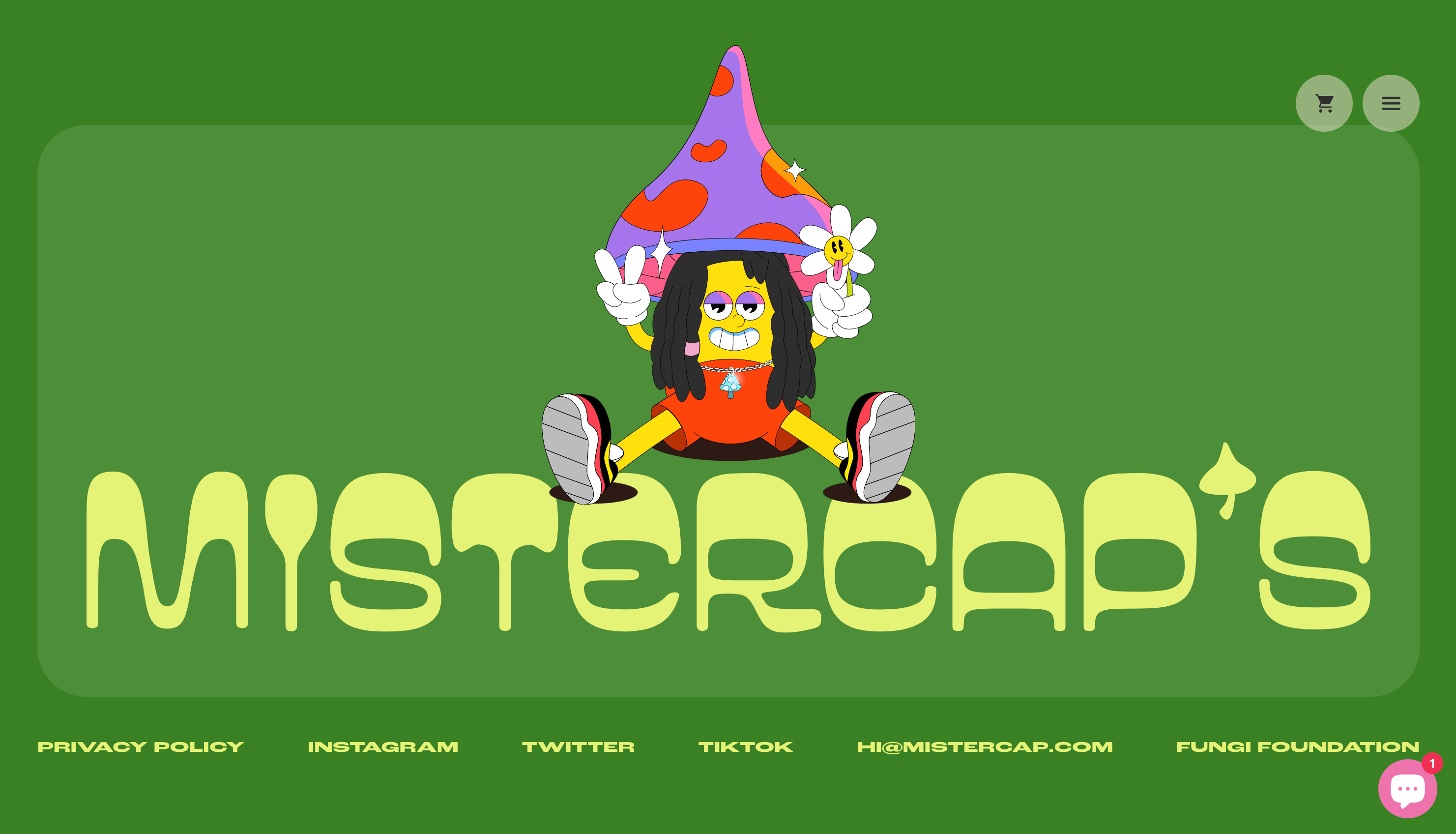 One of 100s of Shopify examples: Mistercaps Footer