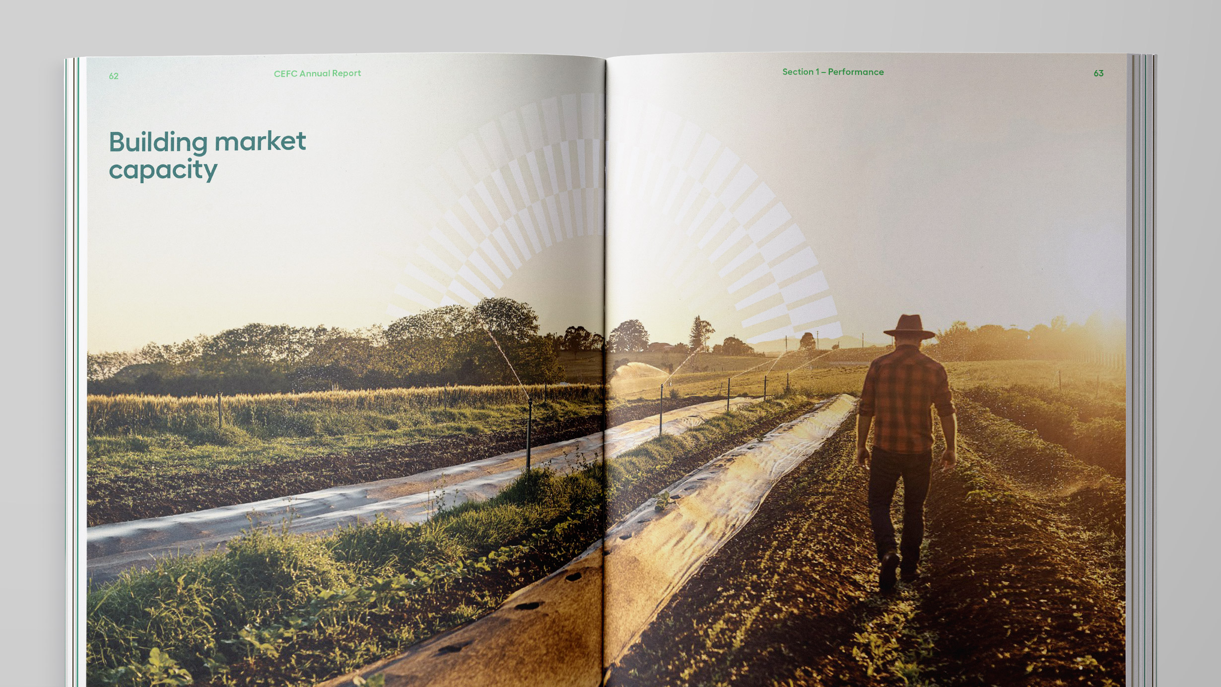 CEFC | Annual Report 2020 | Designate | The corporate brand and ...