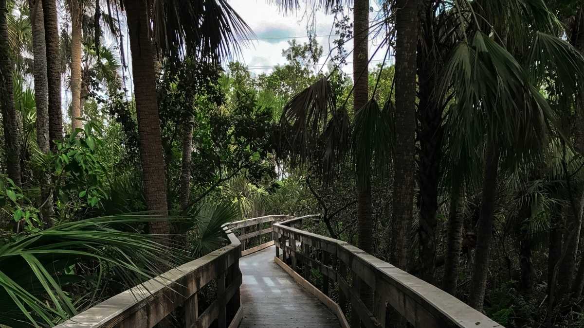 The Ultimate Guide to Spending a First Winter in Florida for Canadian ...