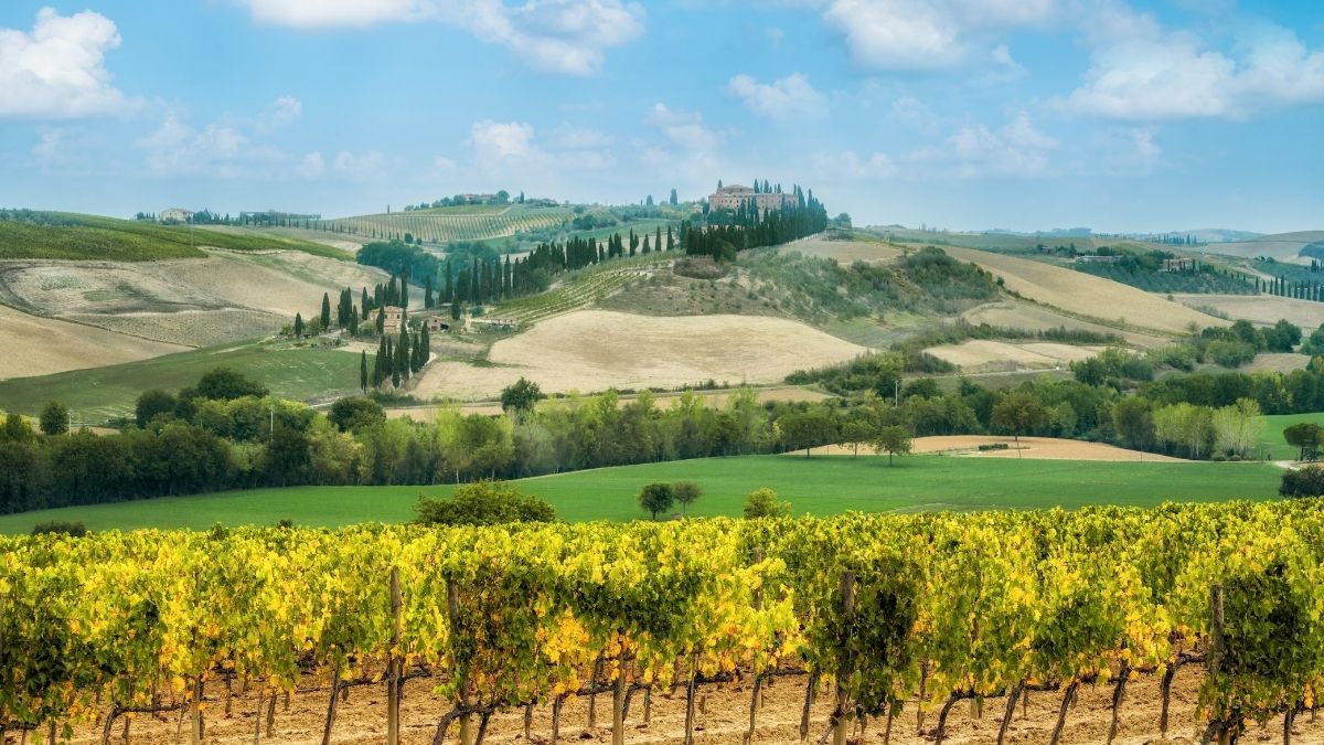 7 Scenic Drives to Discover America’s Most Beautiful Wine Regions | soNomad