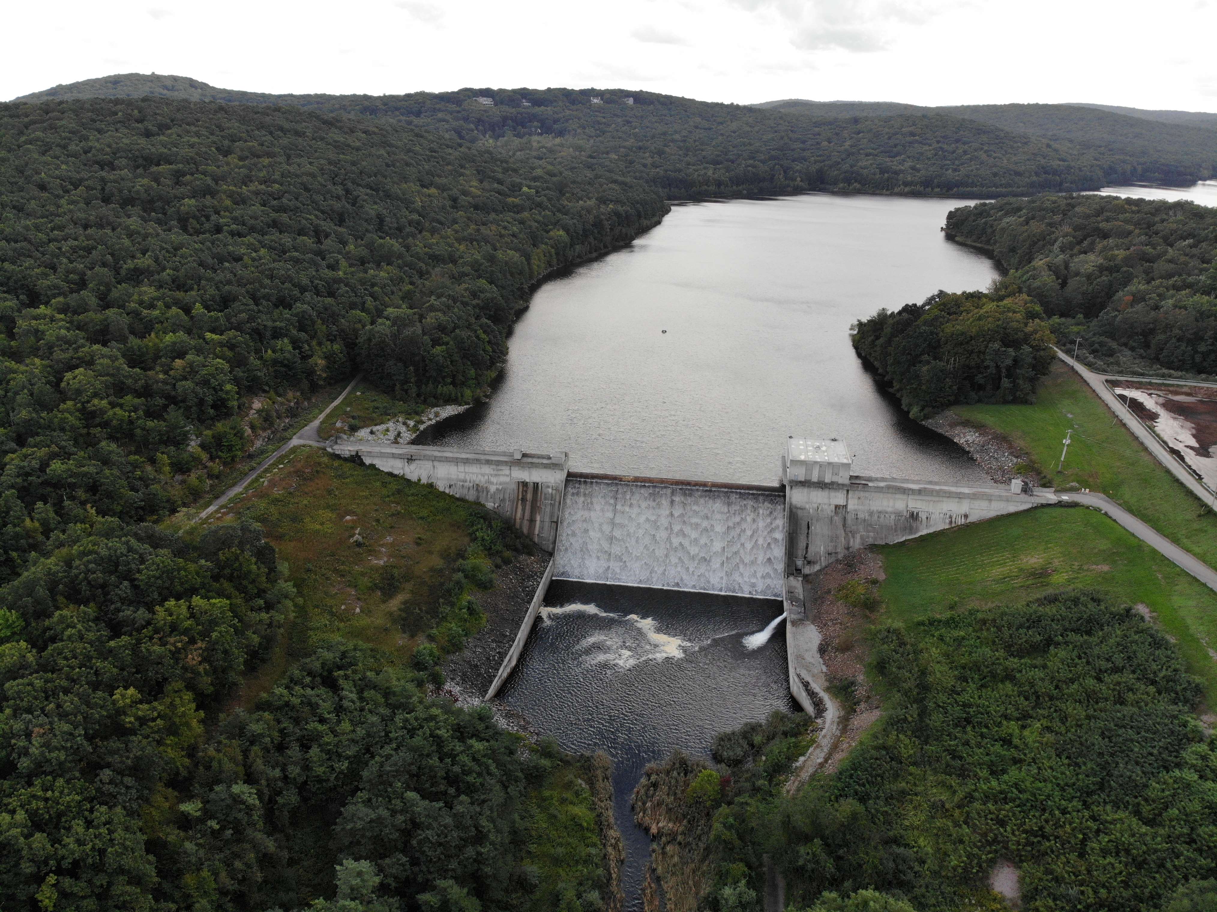 Newark LSLR Website & Support - Case Study