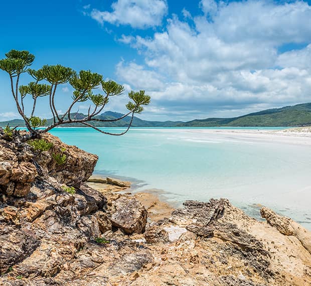 About the Whitsundays | Whitsunday Vacations