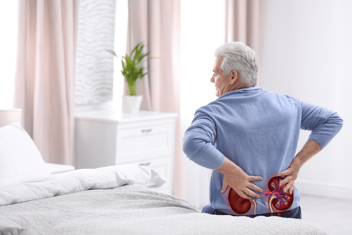 Senior Renal Health: Tips for Tending Your Kidneys as an Older Adult