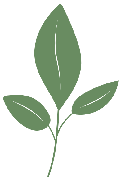 Robyn Stewart | Houston Center for Christian Counseling