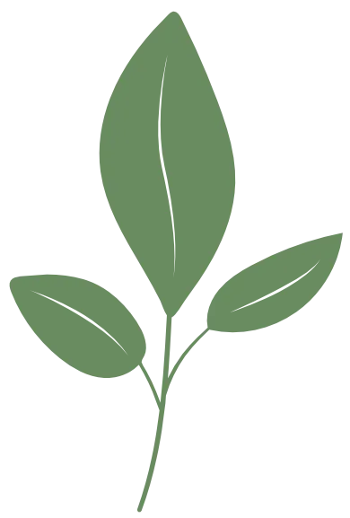 Angela Koslan | Houston Center for Christian Counseling