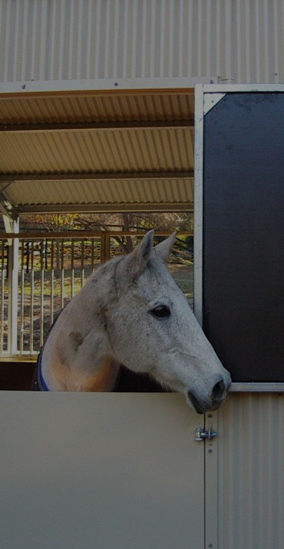 Barn & Stable Access Doors | Pre-Hung & Steel Stable Doors