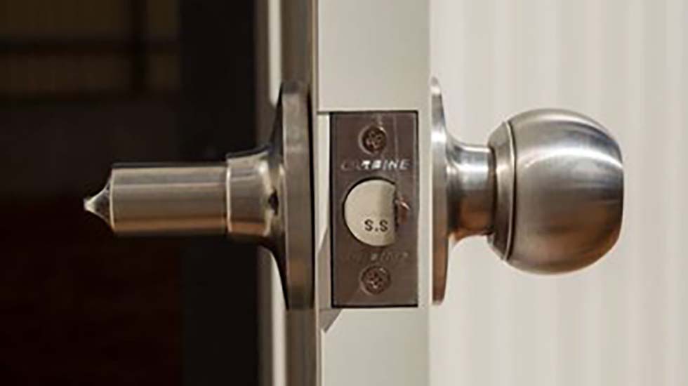 5 Things To Know Before Choosing Personal Access Doors | Larnec Doors