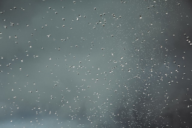 The Impact of Cold Showers on Anxiety | Grouport Journal