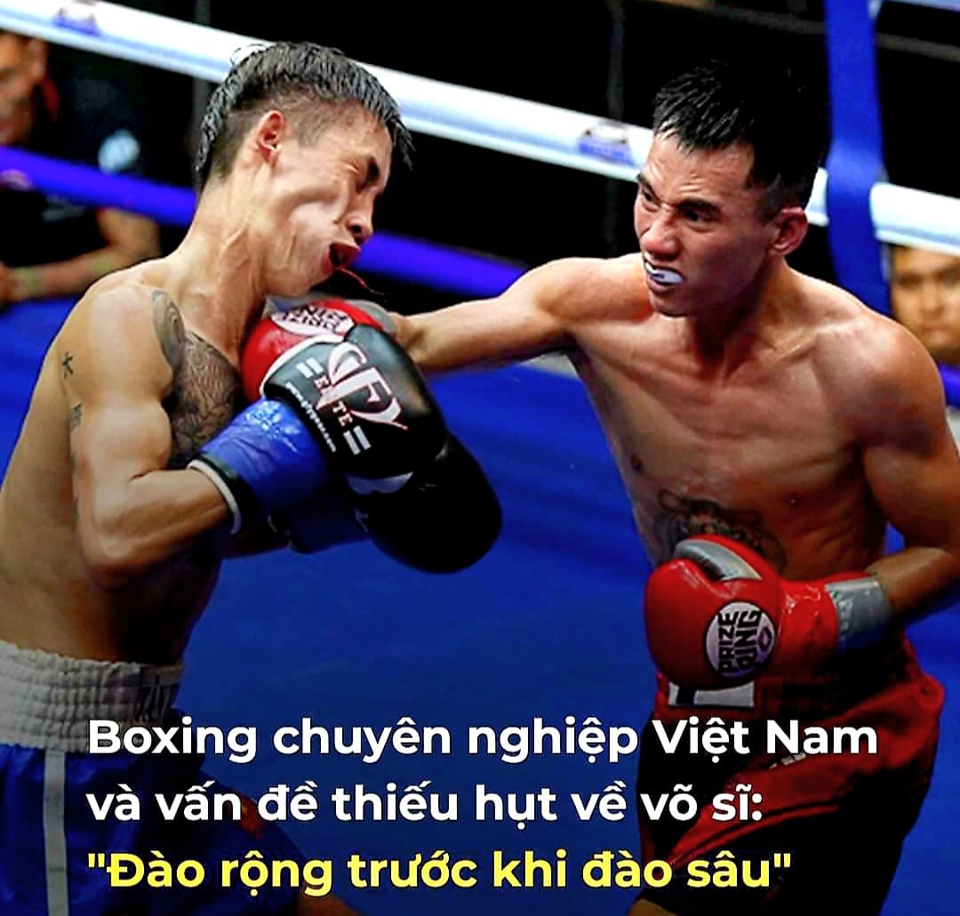 VSP PROMOTIONS | Vietnam Pro Boxing market update