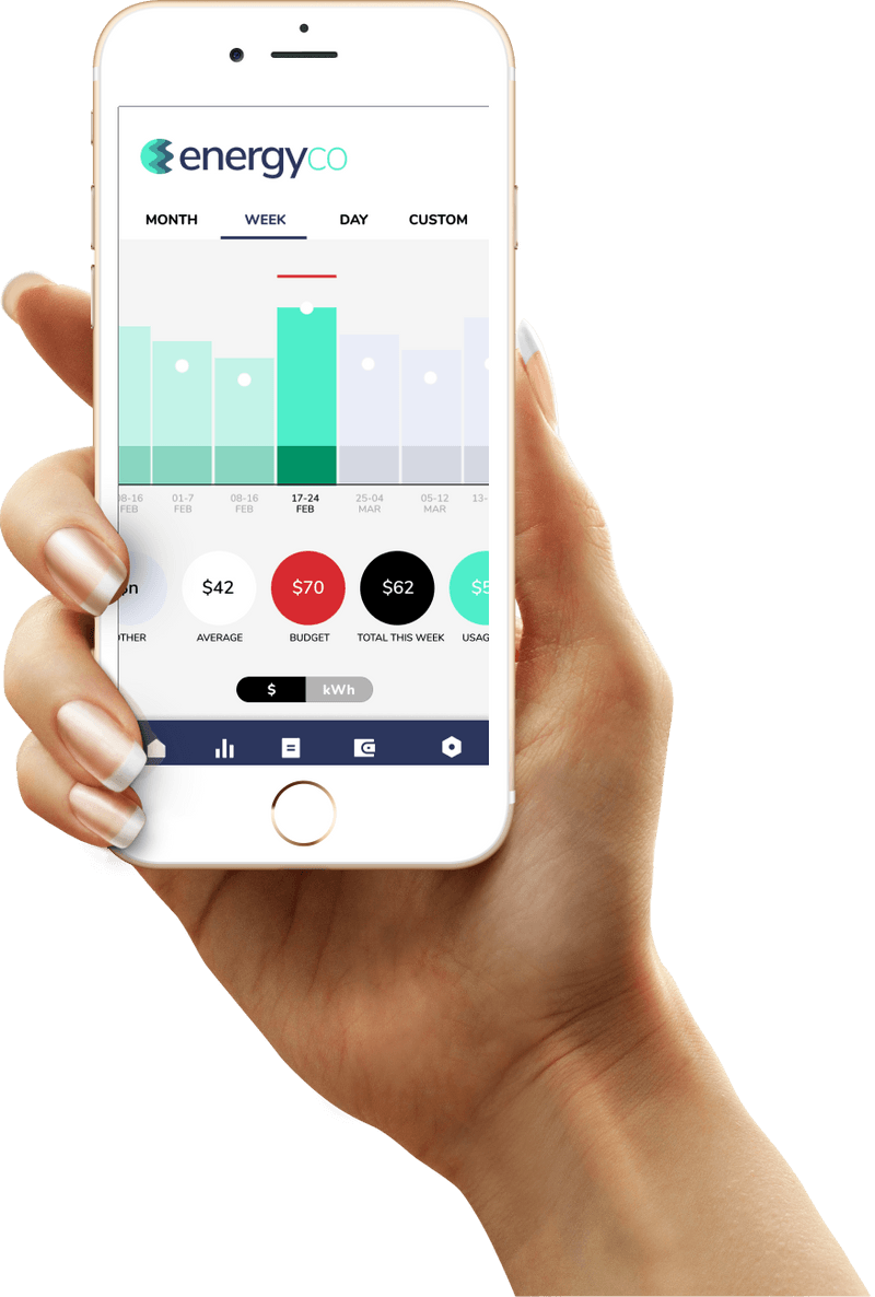 Empower Your Business with Tally's Innovative Solutions